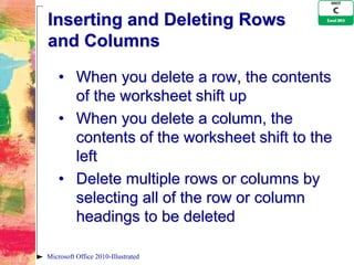Excel 2010 Unit C PPT | PDF