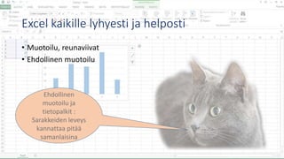Excel 2013 muotoilu | PPTX