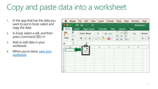 Excel 2016 for macOS basics | PPTX