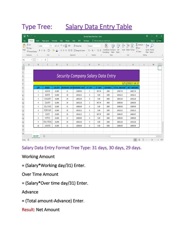 Excel Basic Data Entry | PDF