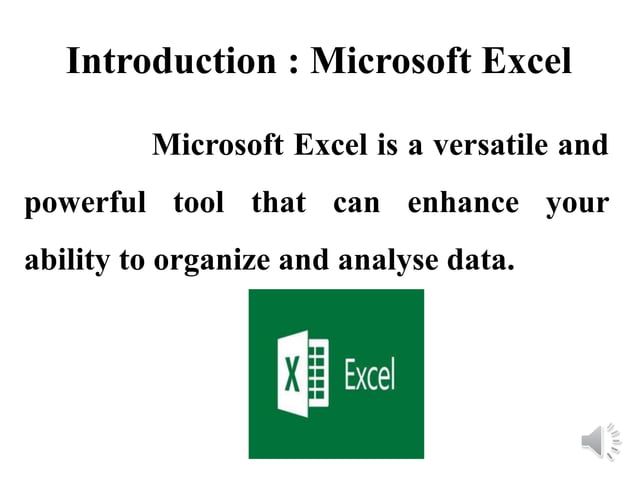 Excel Basics.pptx