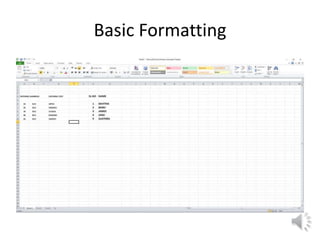 Excel Basics.pptx
