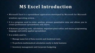 Excel_Breif_Overview.pptx
