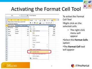 Excel Cell Format for Professional SpreadSheets | PPT