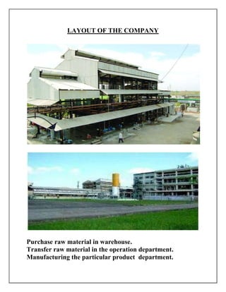 Excel crop care ltd | DOCX