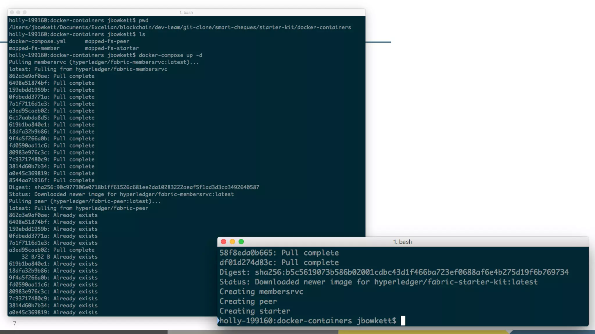 Excelian hyperledger walkthrough-feb17 | PDF | Operating Systems ...