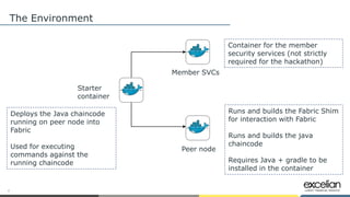 Excelian hyperledger walkthrough-feb17 | PDF | Operating Systems | Computer Software and ...