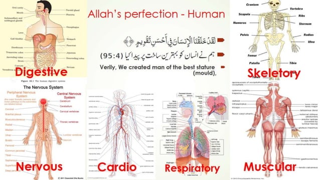 Excellence ihsaan perfection in Islam | PPTX
