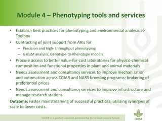 CGIAR Platform on Excellence in Breeding | PPTX