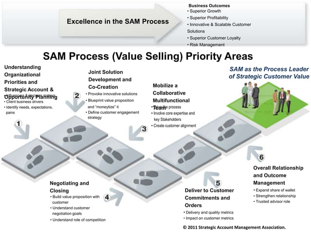Excellence in SAM Process | PPT