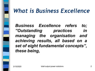 Benchmarking Business Excellence | PDF