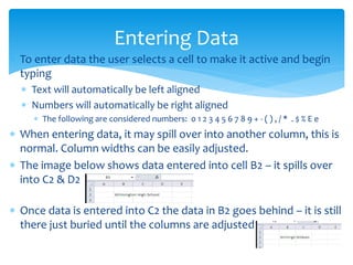 Excel module 1 PowerPoint | PPTX | Computer Software and Applications | Computing