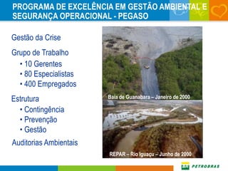 Excelência em sms na petrobras | PDF