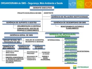 Excelência em sms na petrobras | PDF