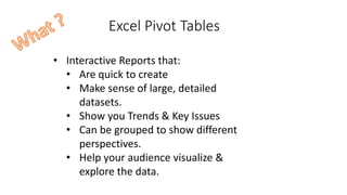 Excel Pivot Table Demo.pptx
