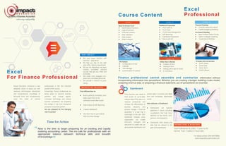 Excel professional | PDF