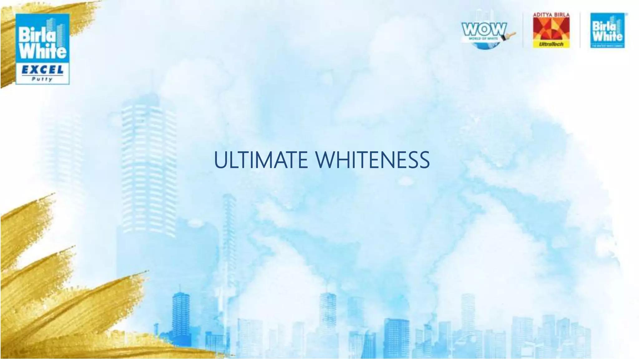 Birla White Excel putty english | PPT