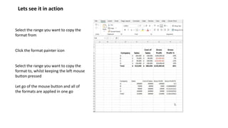How to use Format painter in Excel | PPT