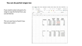 How to use Format painter in Excel | PPT