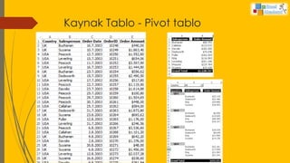 Excel veri analizi ve pivot tablo | PDF