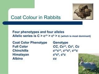 Exceptions to mendel's laws | PPT
