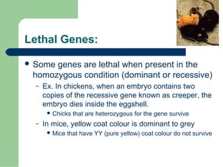 Exceptions to mendel's laws | PPT