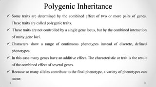 Exception To Mendelism | PDF