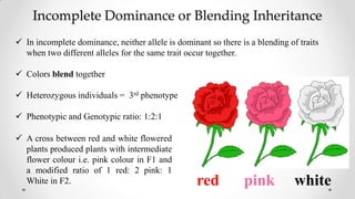 Exception To Mendelism | PDF