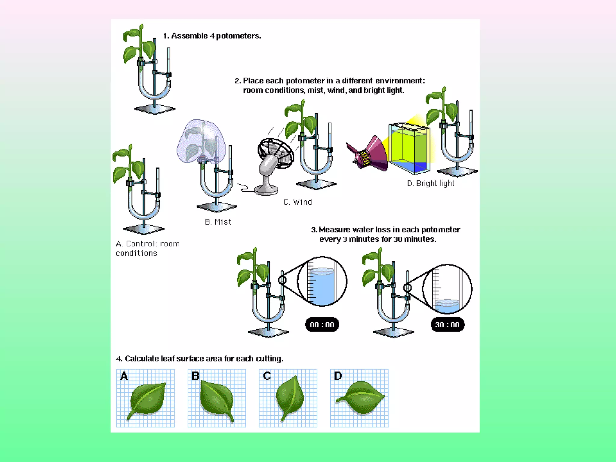 transpiration in plants | PPT