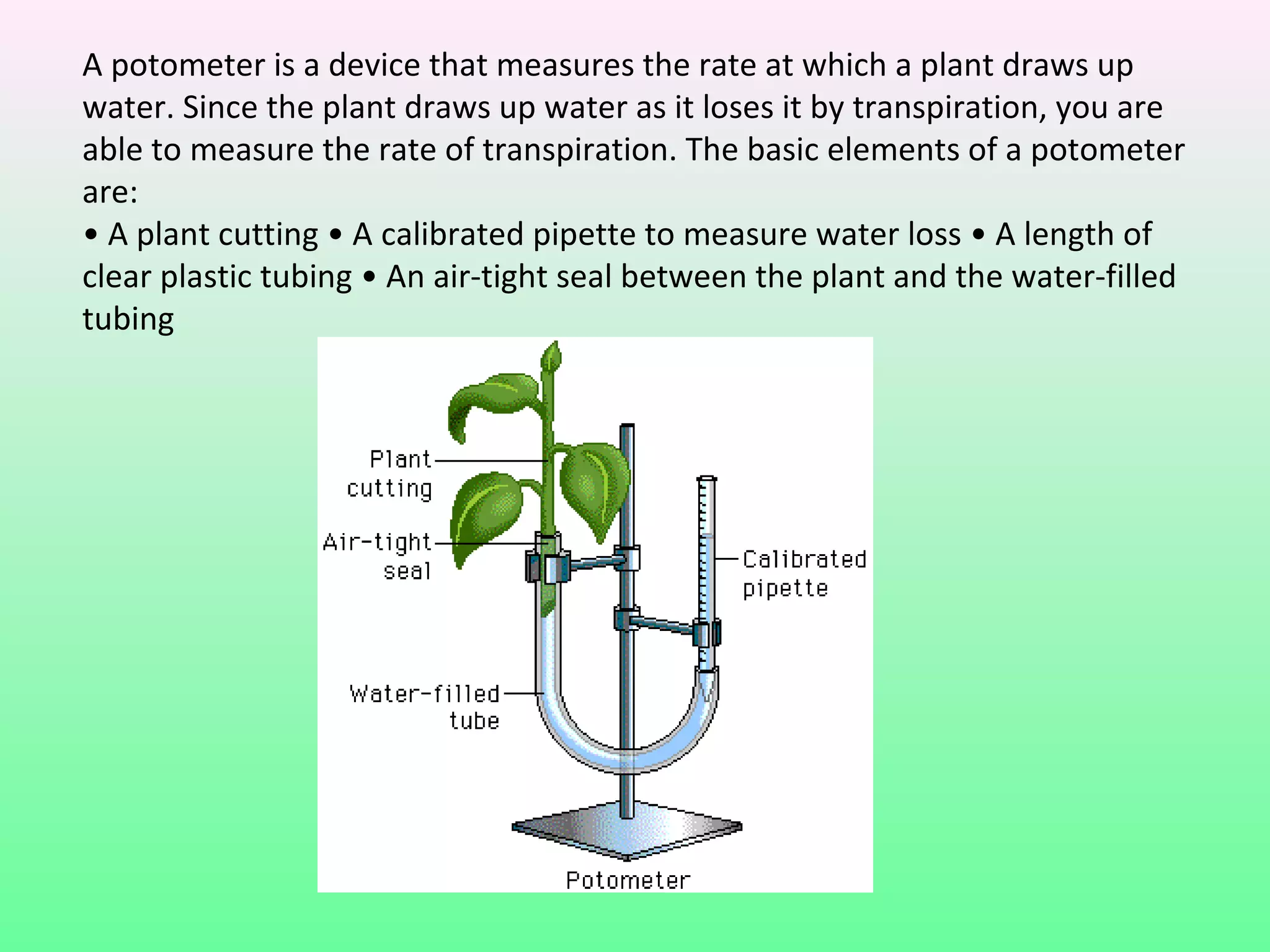 transpiration in plants | PPT
