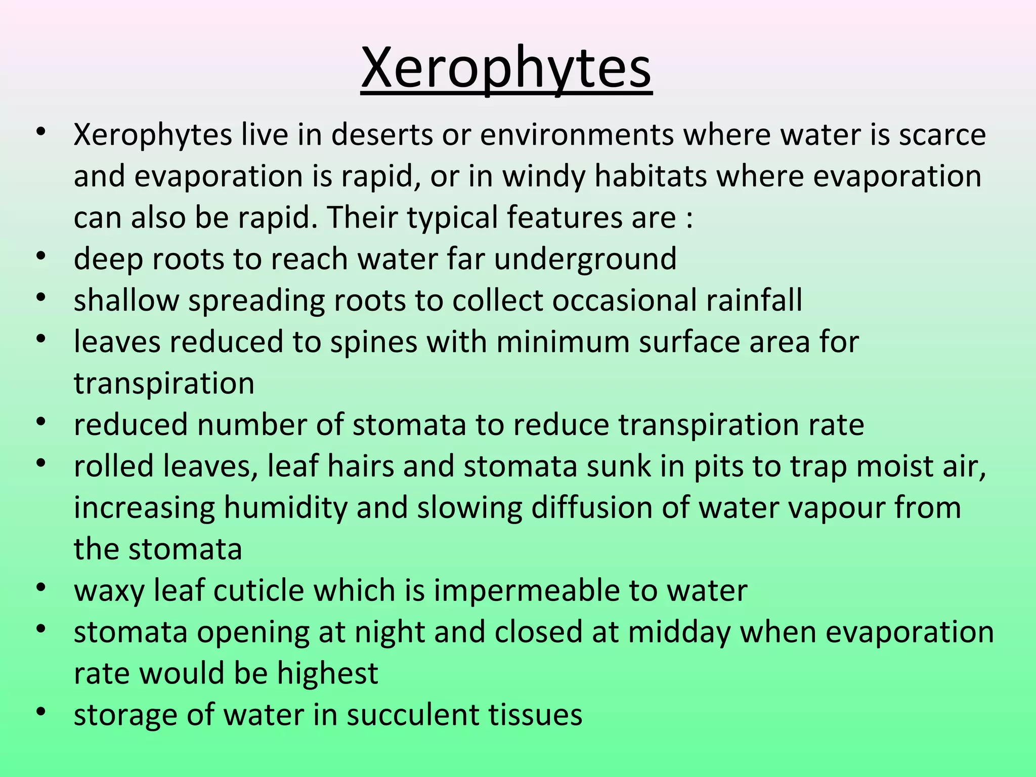 transpiration in plants | PPT