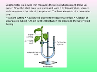 transpiration in plants | PPT