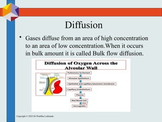 Exchange and Transport of Respiratory gases .pptx