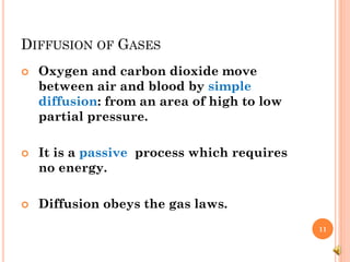 Exchange of gases.pdf