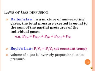 Exchange of gases.pdf
