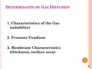 Exchange of gases.pdf