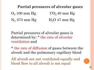 Exchange of gases.pdf