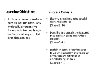 Different exchange_surfaces in organisms | PPTX