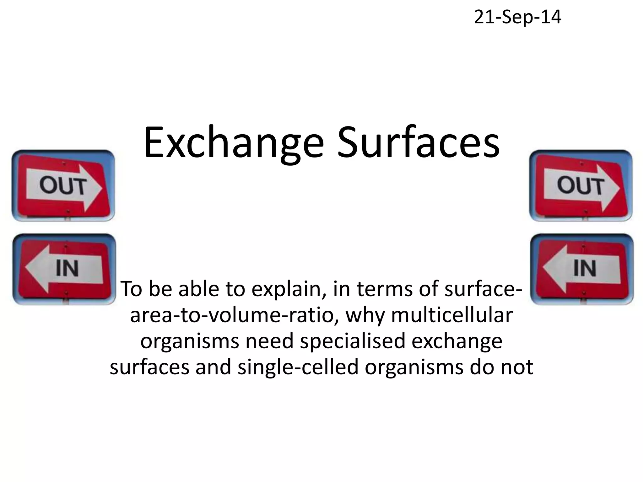Exchange surfaces lesson 1 | PPTX