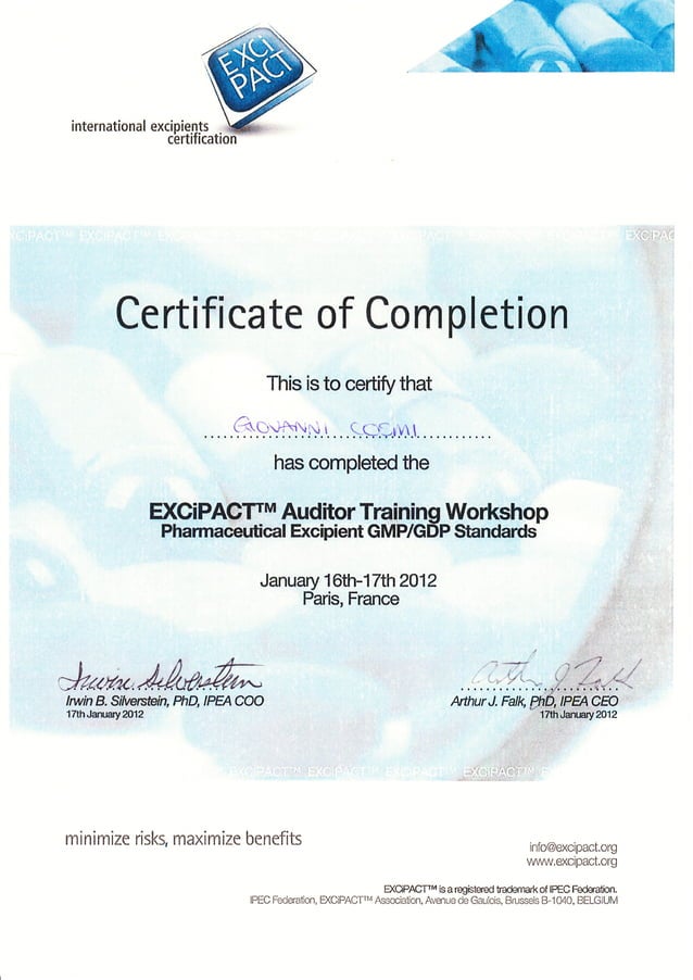 Ex Ci Pact Auditor Training Workshop | PDF