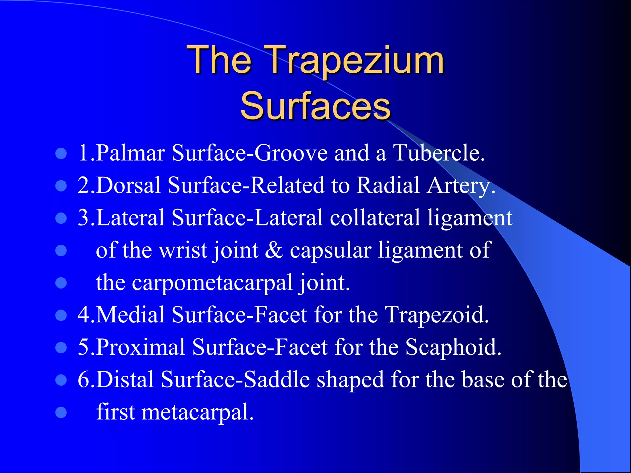 Excision of the trapezium presentation | PDF