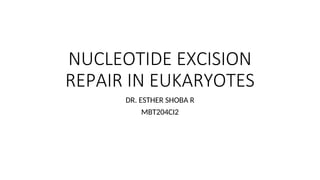 NUCLEOTIDE EXCISION REPAIR IN EUKARYOTES | PPT