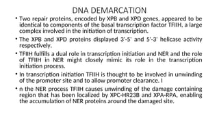 NUCLEOTIDE EXCISION REPAIR IN EUKARYOTES | PPT