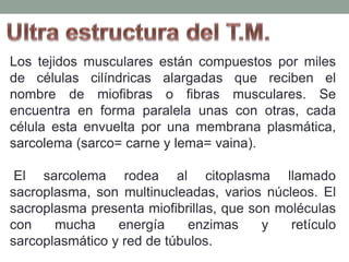 Excitabilidad muscular | PPTX