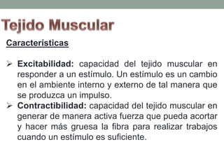 Excitabilidad muscular | PPTX