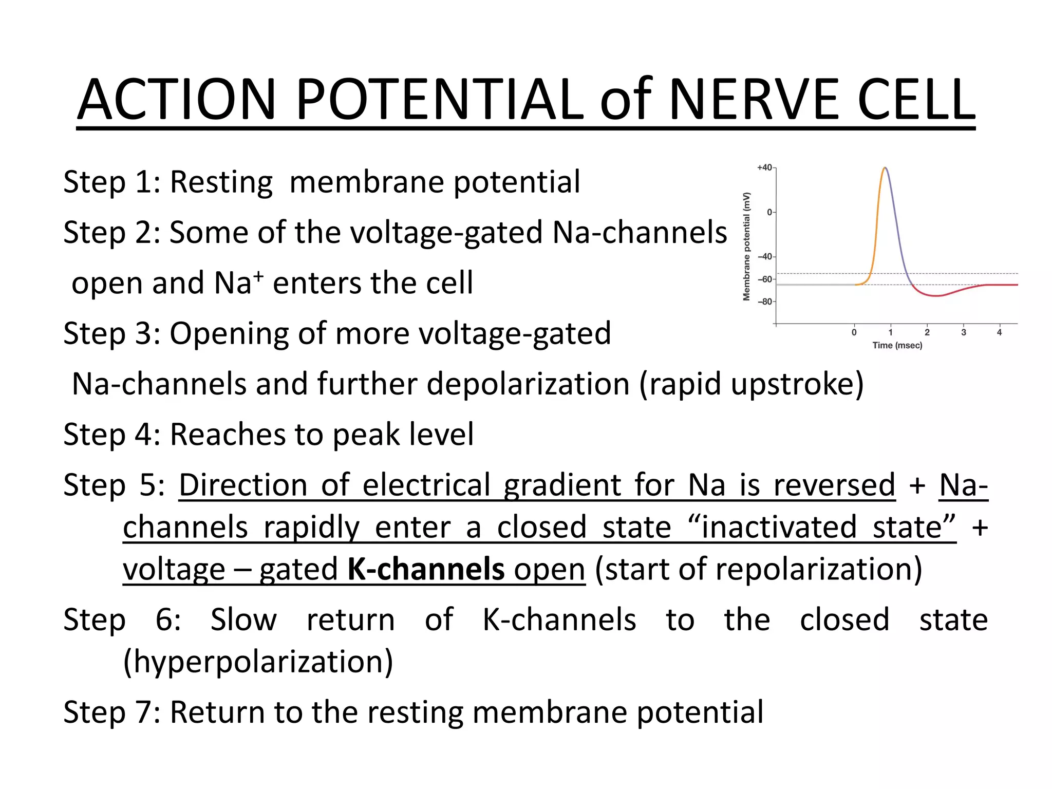 Excitable tissue Physiology | PPTX