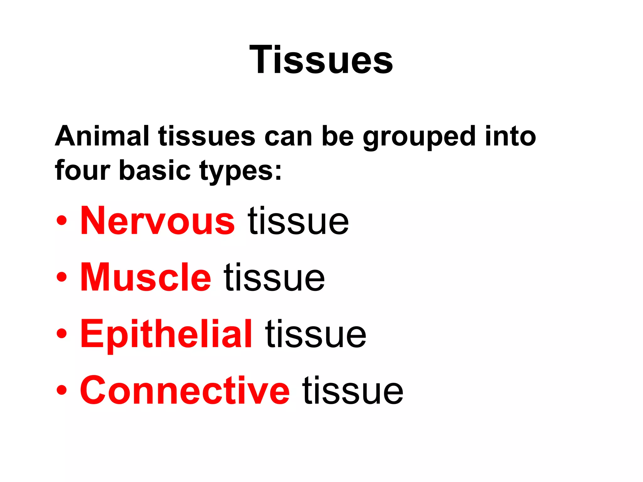 Excitable tissue Physiology | PPTX