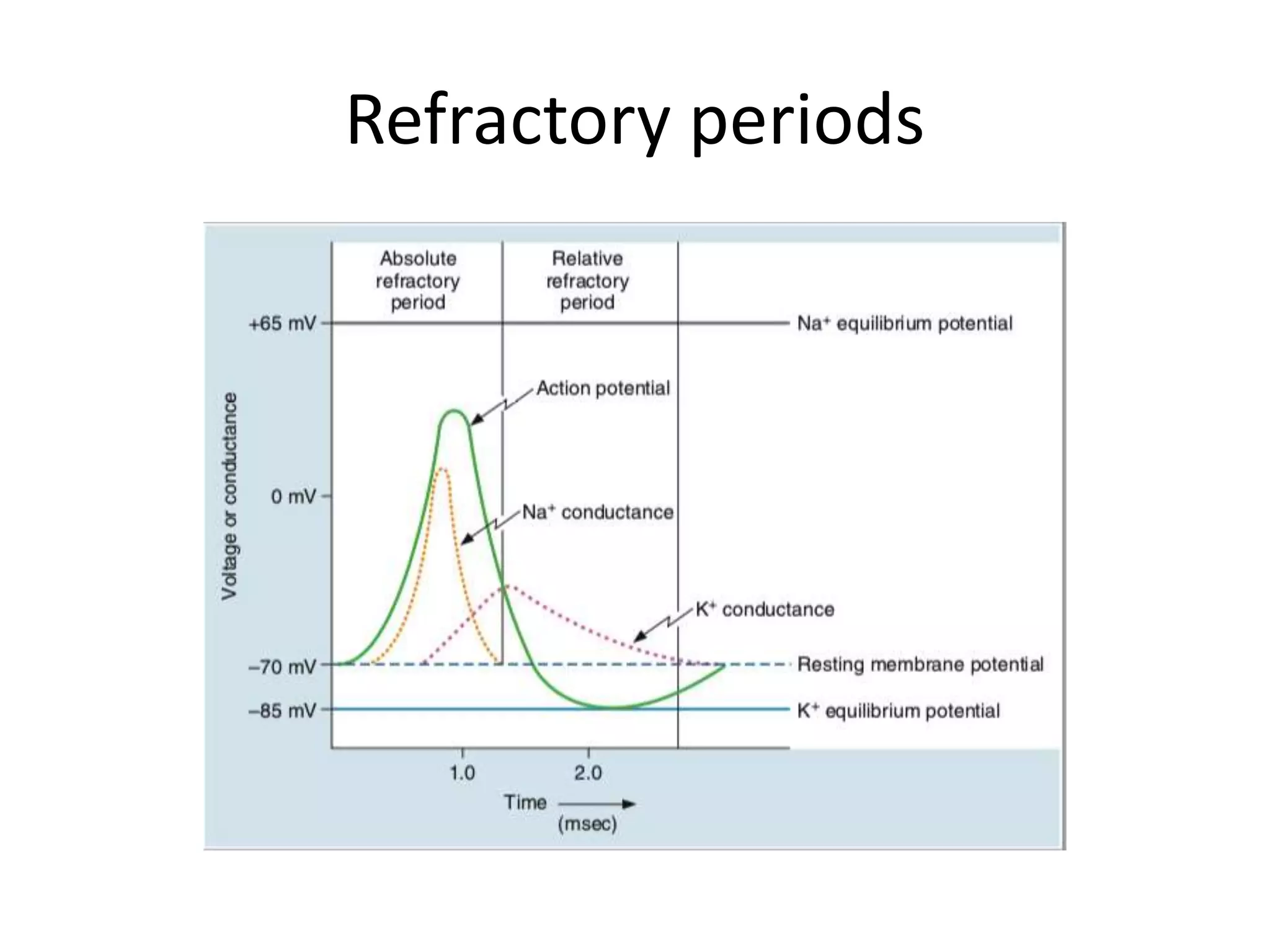 Excitable tissue Physiology | PPTX