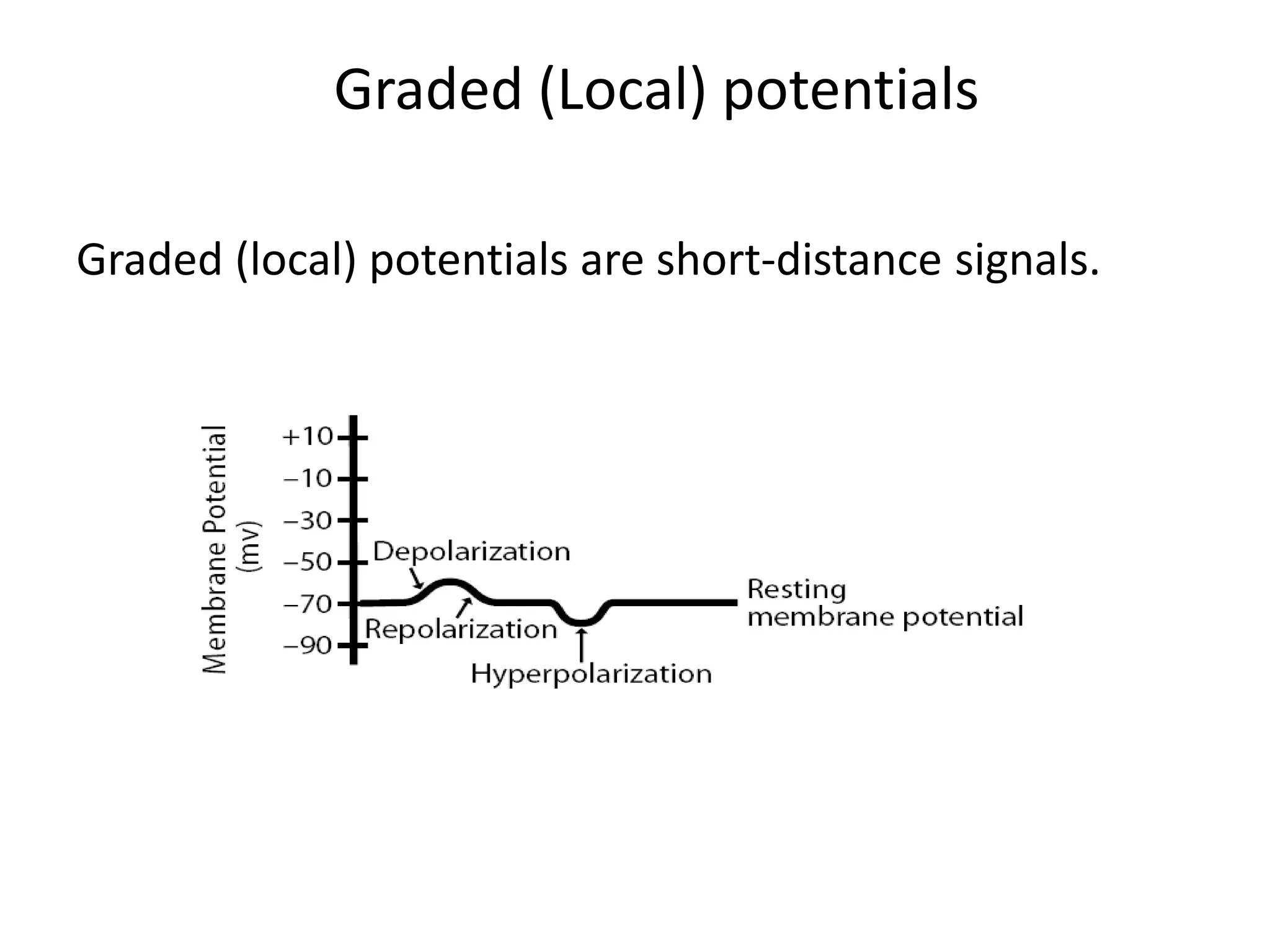 Excitable tissue Physiology | PPTX