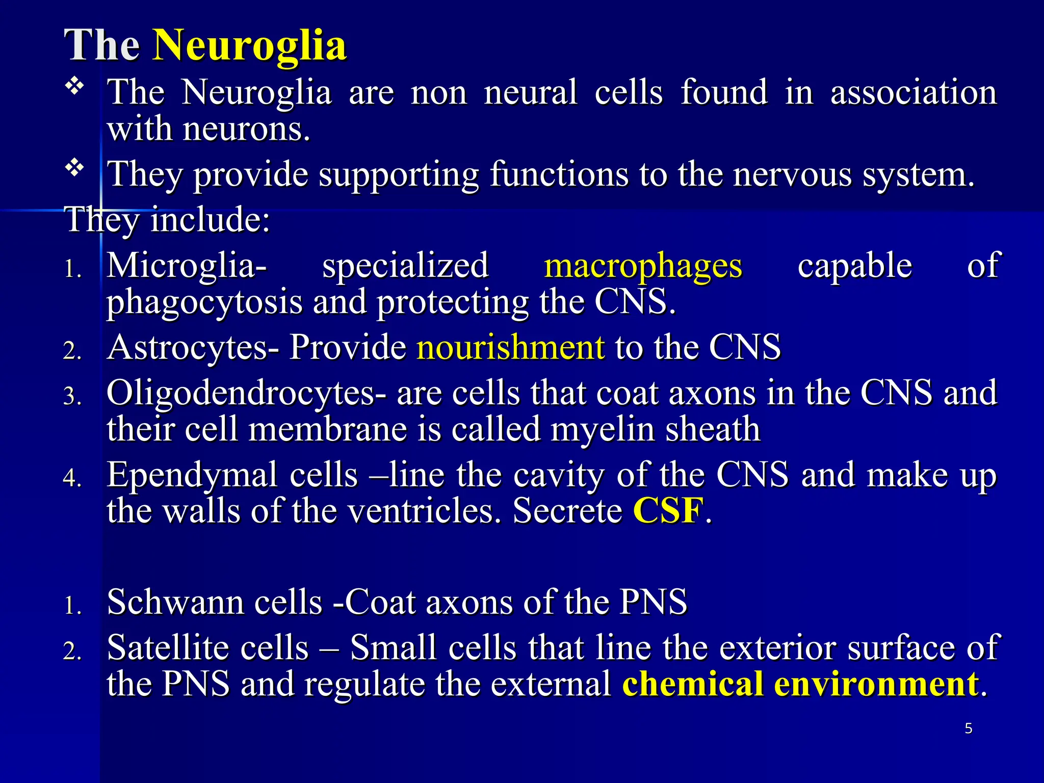 excitable tissue.ppt excitable tissues ppt | PPT